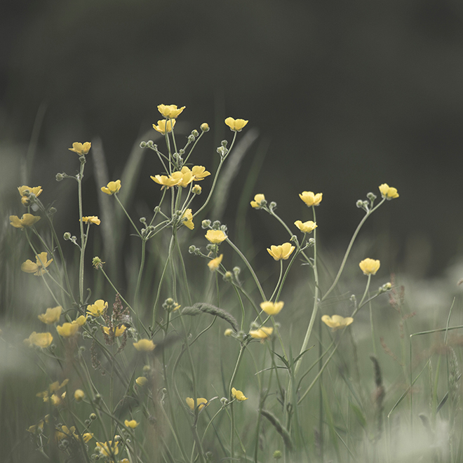 BRF Ministries | Leading Christian charity enabling ministry and ...